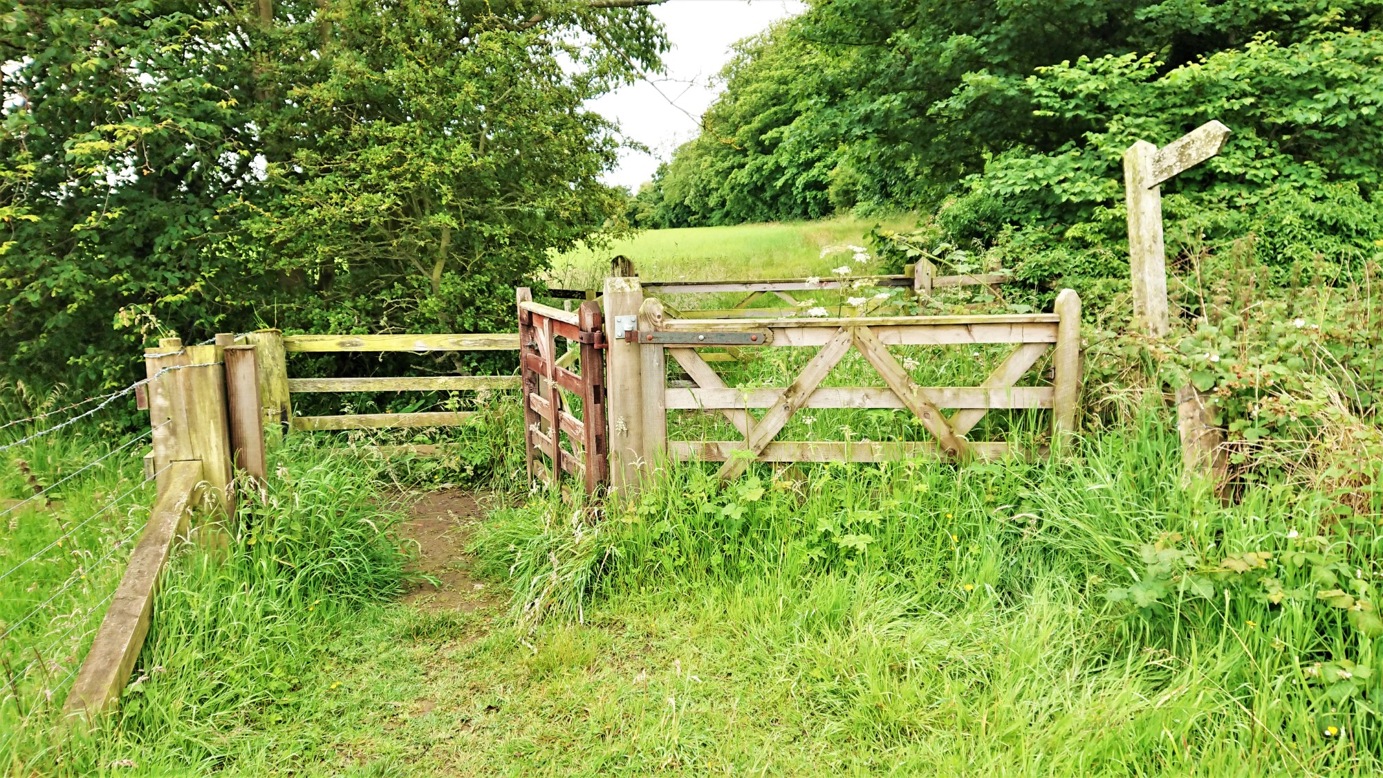 Craster and Howick walk guide - Walking North England - Northumberland