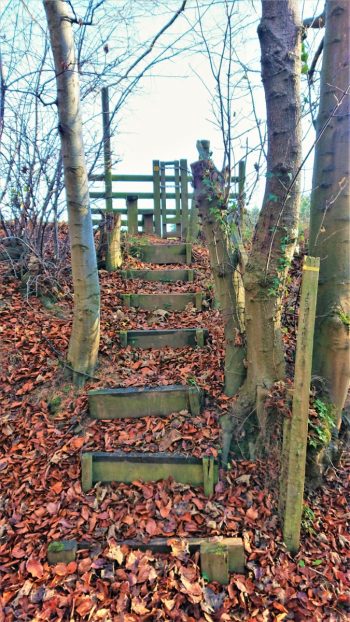 Sunderland Bridge and the Weardale Way walk guide - Walking North England
