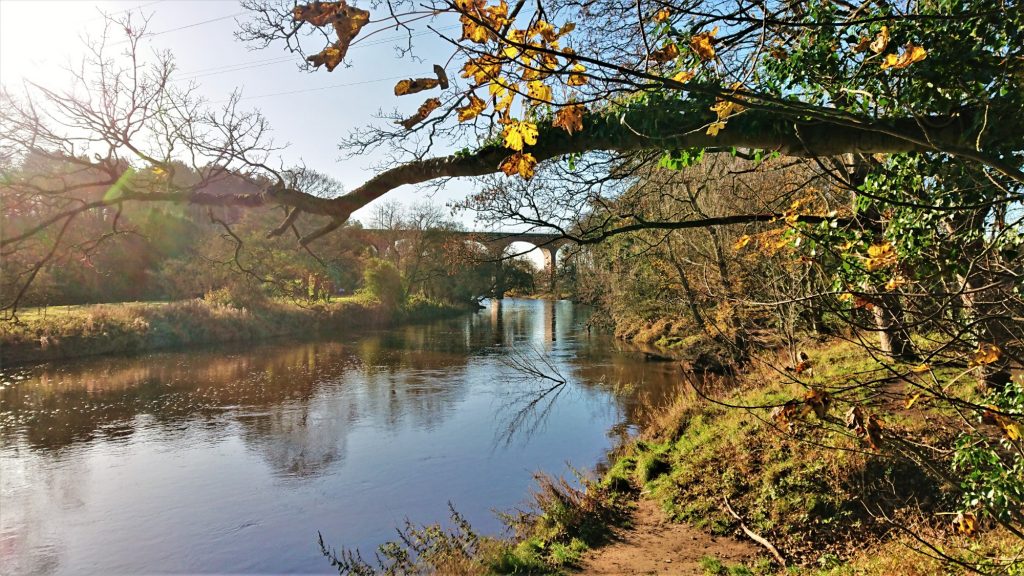 Sunderland Bridge and the Weardale Way walk guide - Walking North England