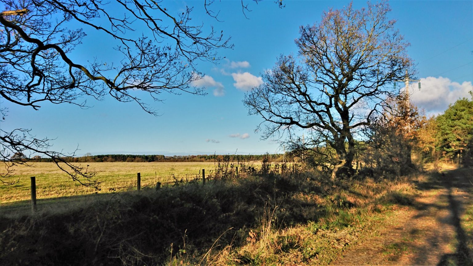 Sunderland Bridge and the Weardale Way walk guide - Walking North England