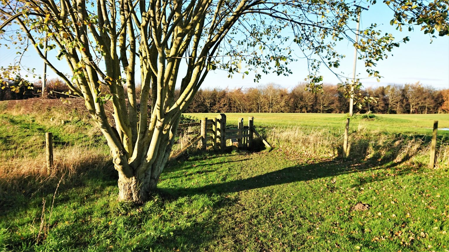 Sunderland Bridge and the Weardale Way walk guide - Walking North England