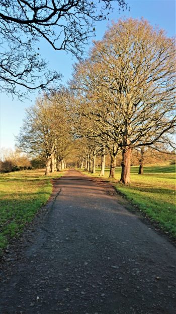 Sunderland Bridge and the Weardale Way walk guide - Walking North England