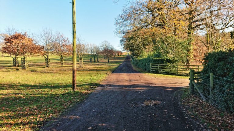 Sunderland Bridge and the Weardale Way walk guide - Walking North England